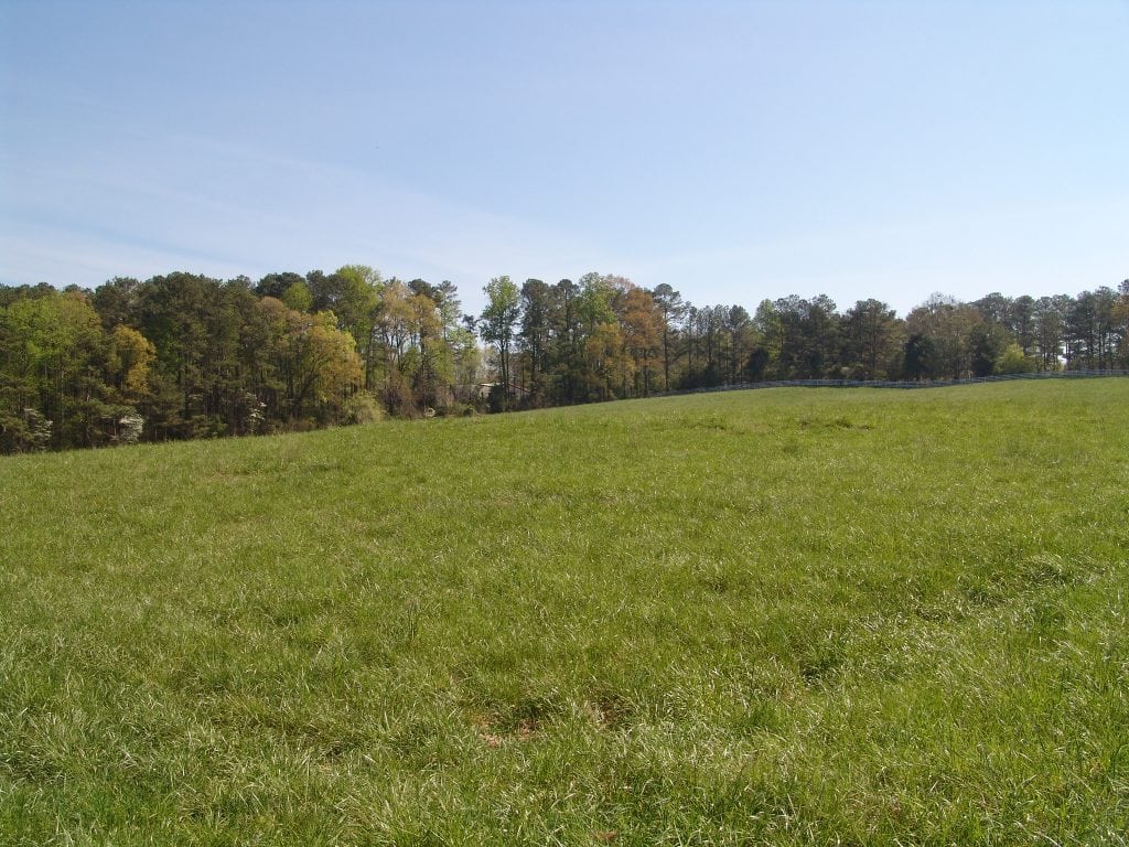 What is a green burial? | Eco Friendly Burials | Milton Fields