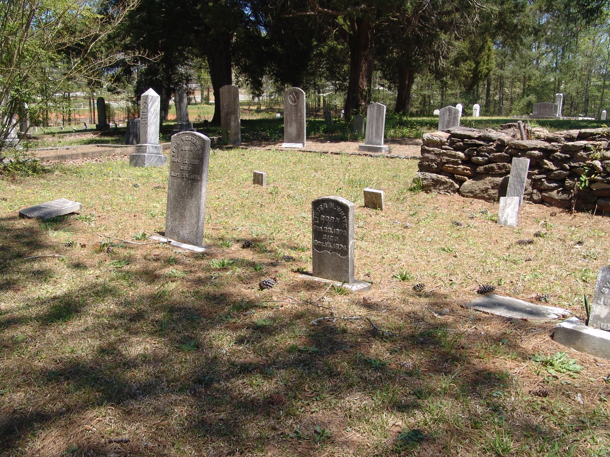 Embalming and the Environmental Impact of Burial Choices